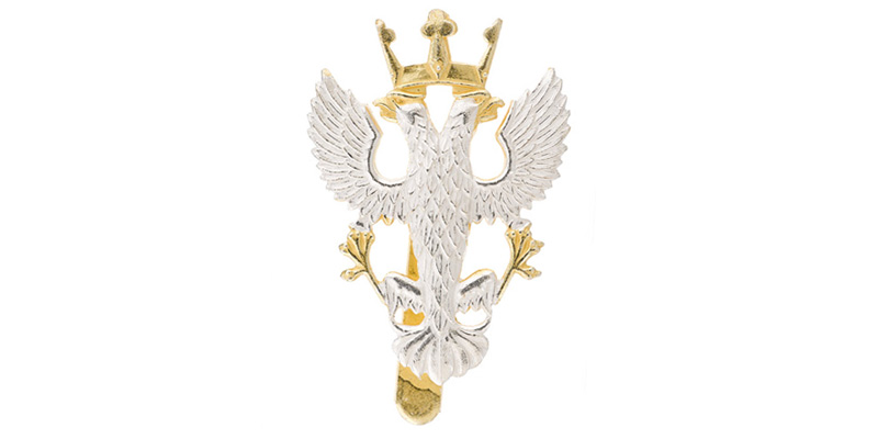 The Mercian Regiment (Cheshire, Worcesters and Foresters, and Staffords ...